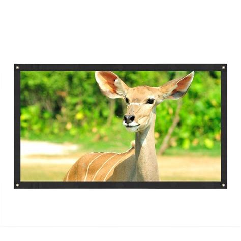 Image result for Projector 3D Screen