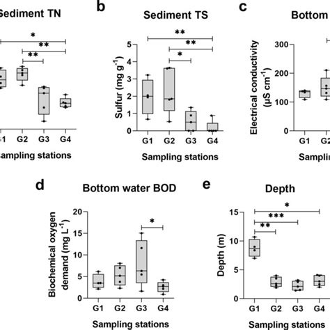 Image result for Environmental Variation