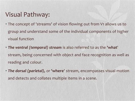 Image result for Visual Cortex Dysfunction