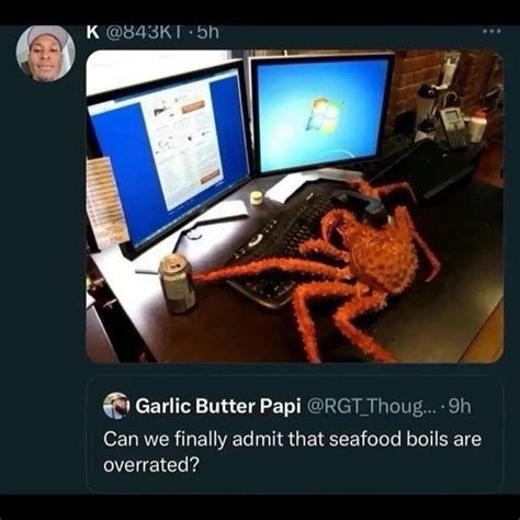 Image result for Random Cat Memes Clean