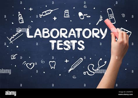 Image result for Basic Principles of Biomedical Drawing