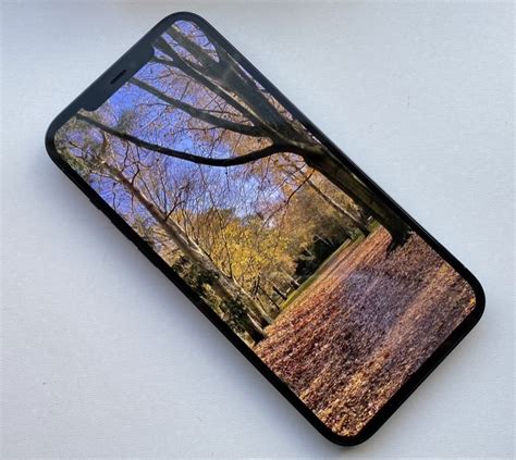 Image result for iPhone 12 Pro Max