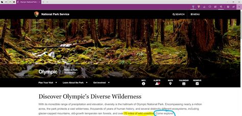 Image result for Microsoft Edge Customized