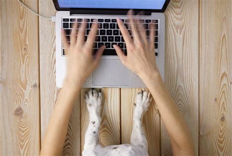 Image result for Computer Fast Typing