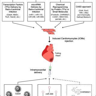 Image result for What Is Direct Reprogramming