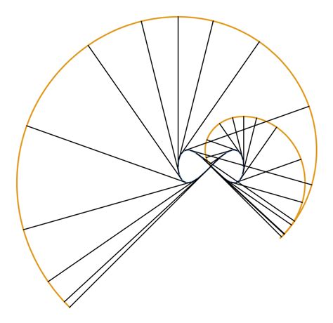 Image result for Involute Curve of a Line