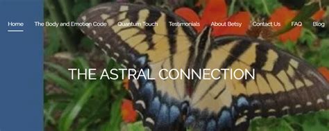 Image result for Emotion Code and Body Code