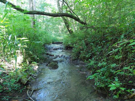 Image result for Distributive Shock