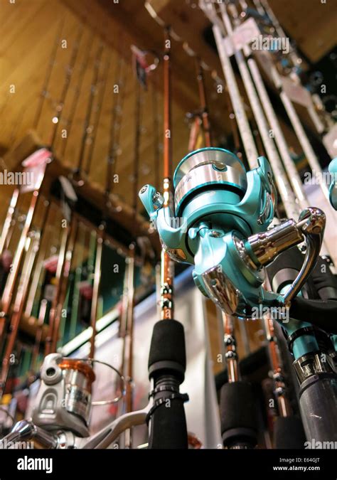 Image result for Scheels Sporting Goods