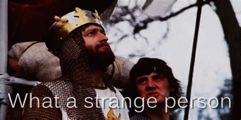 Image result for Monty Python Person
