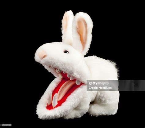 Image result for Monty Python Holy Grail Rabbit