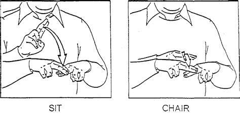 Image result for ASL Lexical