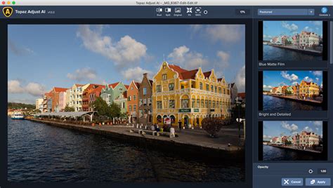 Image result for Topaz Adjust AI Tutorial
