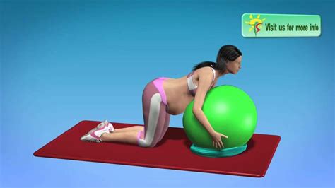 Image result for Exercise Ball Lower Back Exercises