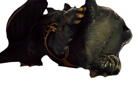 Image result for Toothless Mate