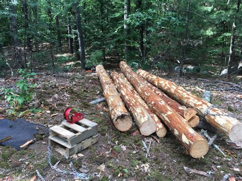 Image result for Off-Grid Log Cabin Build