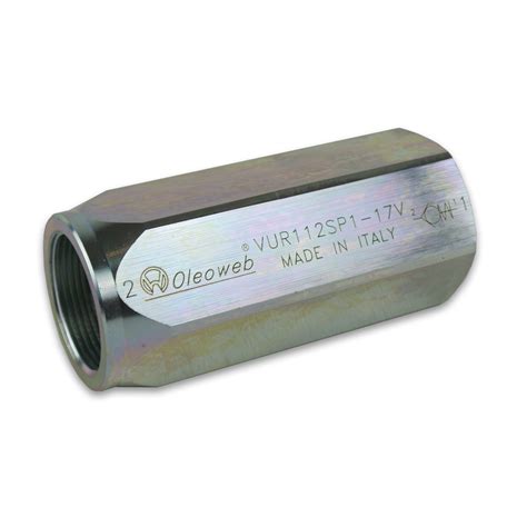 Image result for Inline Check Valve