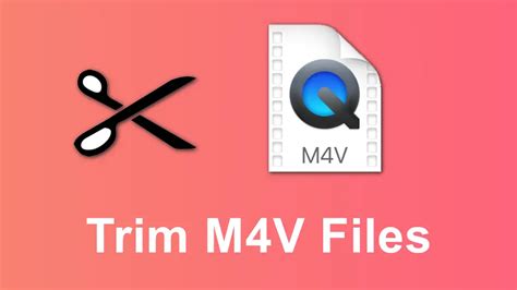 Image result for M4V File Extension