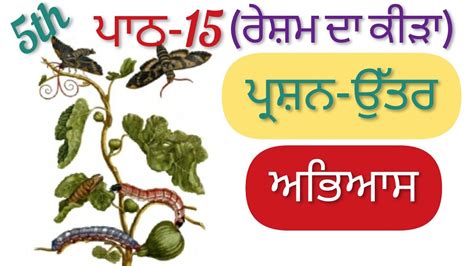 Image result for Punjabi Lesson 15 Class 3rd