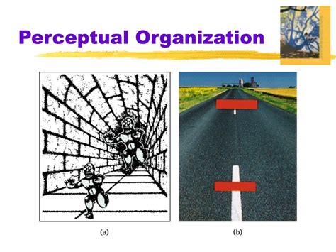 Image result for Perceptual Organisation Example