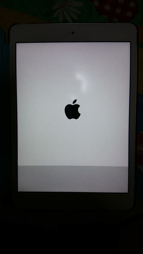 Image result for iPad Display Problem
