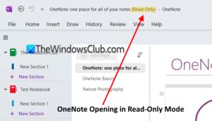 Image result for How to Make OneNote Read-Only