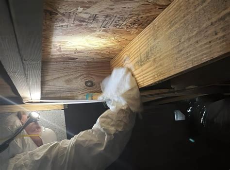 Image result for Mold Air Sampling Plating