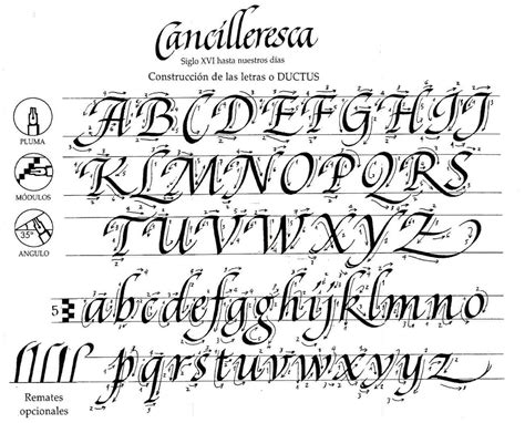 Image result for Calligraphy Script Writing