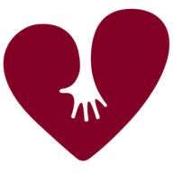 Image result for Bruce Perry Pyramid