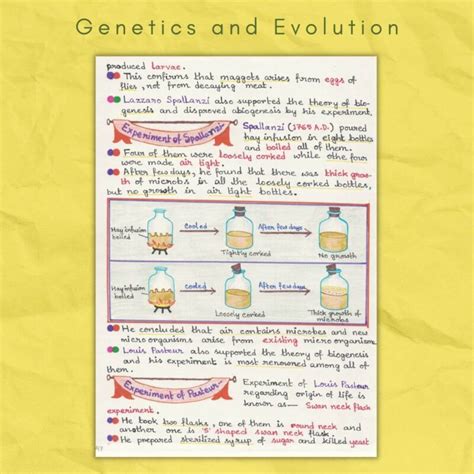 Image result for Life Science Gr 12 Human Evolution