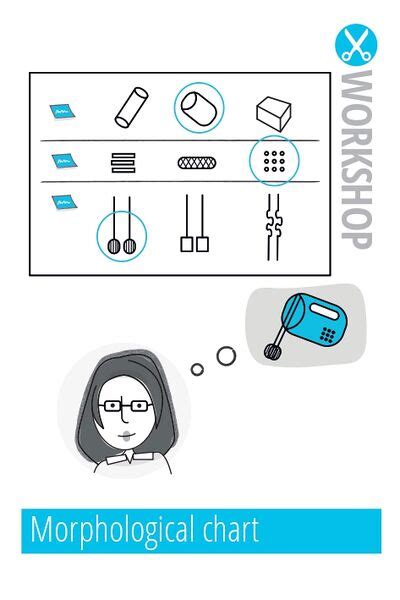 Image result for Morphological Chart Examples
