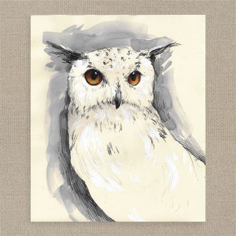 Image result for Graphite Drawing of Owl