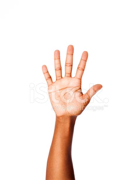 Image result for Five Sign Language