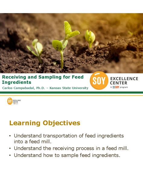 Image result for Sampling Feed