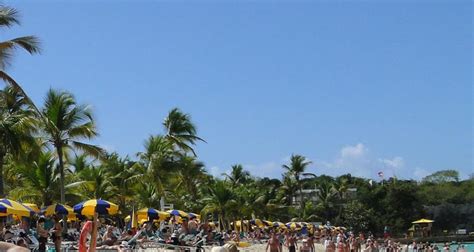 Image result for Recover Jpg File Corrupted