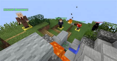 Image result for Minecraft Java Skyblock Servers