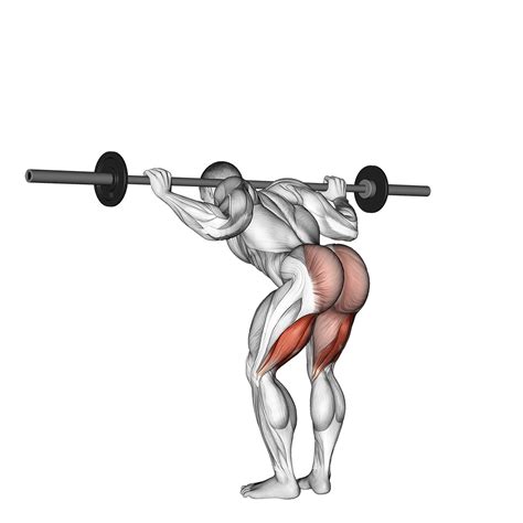 Image result for Hinge Exercise Variations