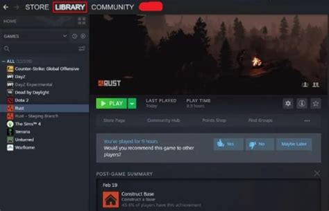 Image result for Rust PC Female