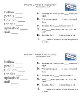 Image result for Module 2 HMH Video