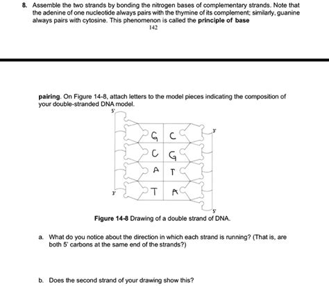 Image result for What Is Complementary Structure of Two Strands