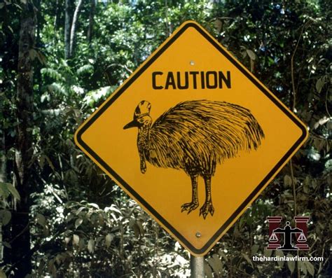 Image result for Disability Function Report