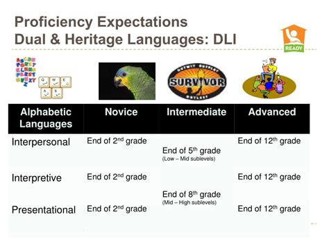 Image result for Proficiency Level Examples