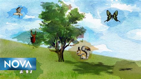 Image result for Evolution Simulator Lab