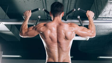 Image result for Body Composition Muscle