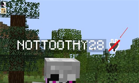 Image result for Simple Voice Chat Plugin Minecraft