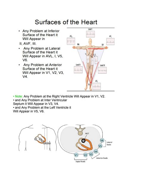 Image result for ECG Step by Step