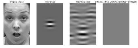 Image result for Gabor Filter Applications