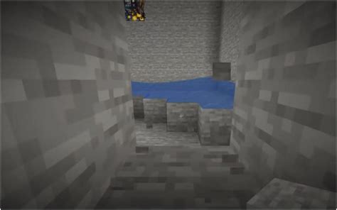 Image result for How to Make a Skeleton Farm Java