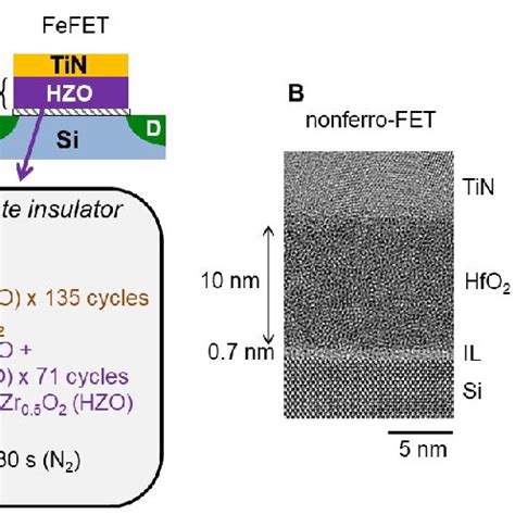 Image result for HfO2 Fefet