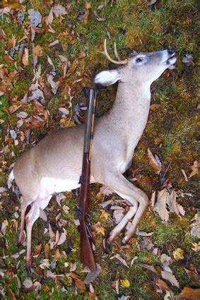 Image result for Black Powder Hunting